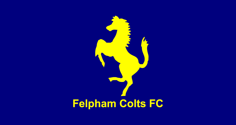 ParentMail scores with Felpham Football Club! | Case Study | IRIS