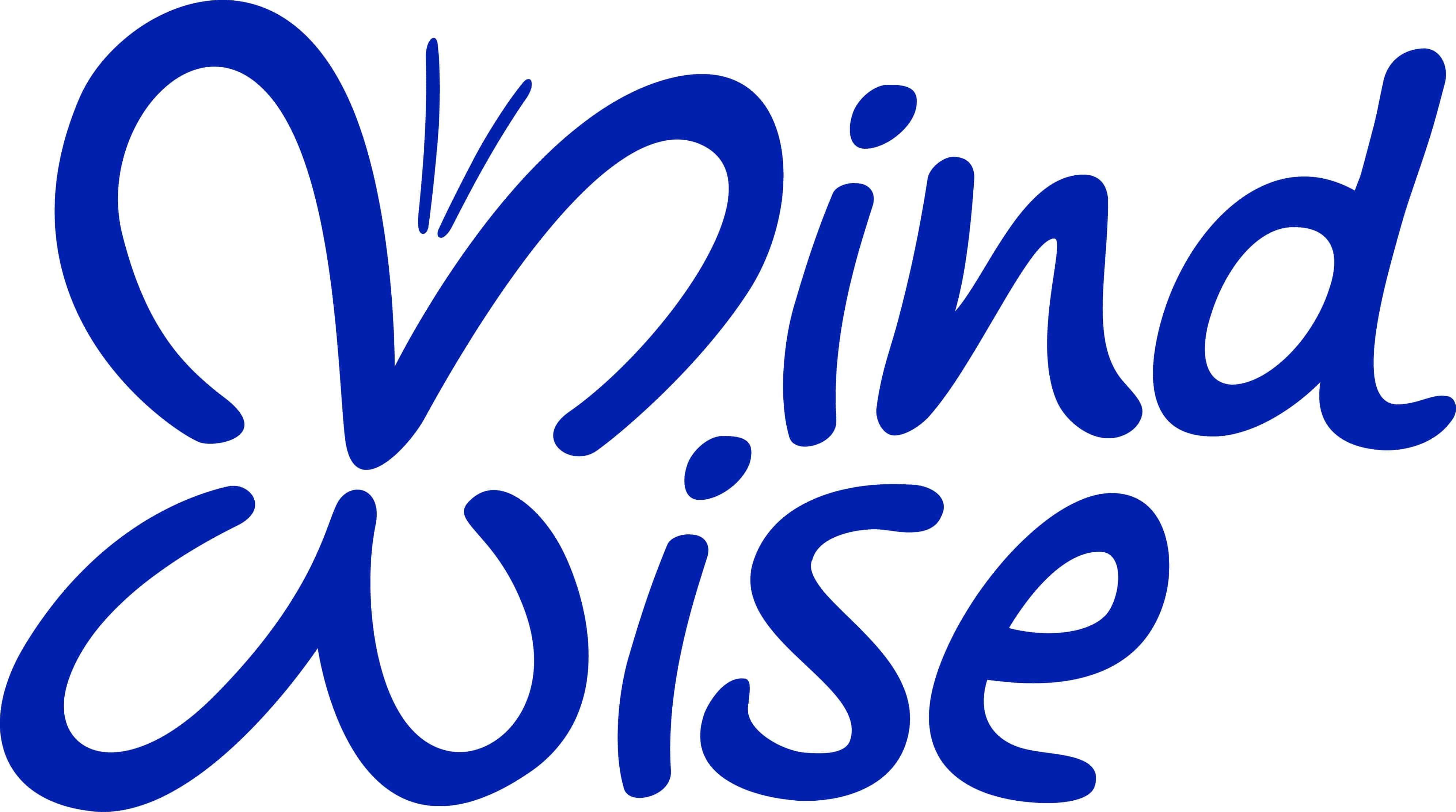 MindWise leverages HR software to transform processes and elevate mental wellness | Case Study ...